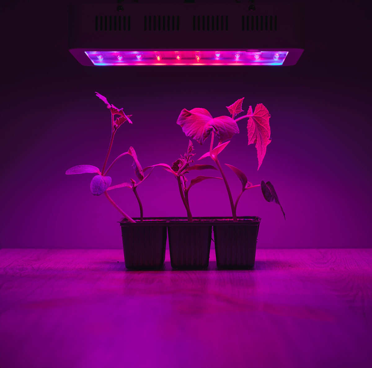 GT Lite - LED Lighting Product