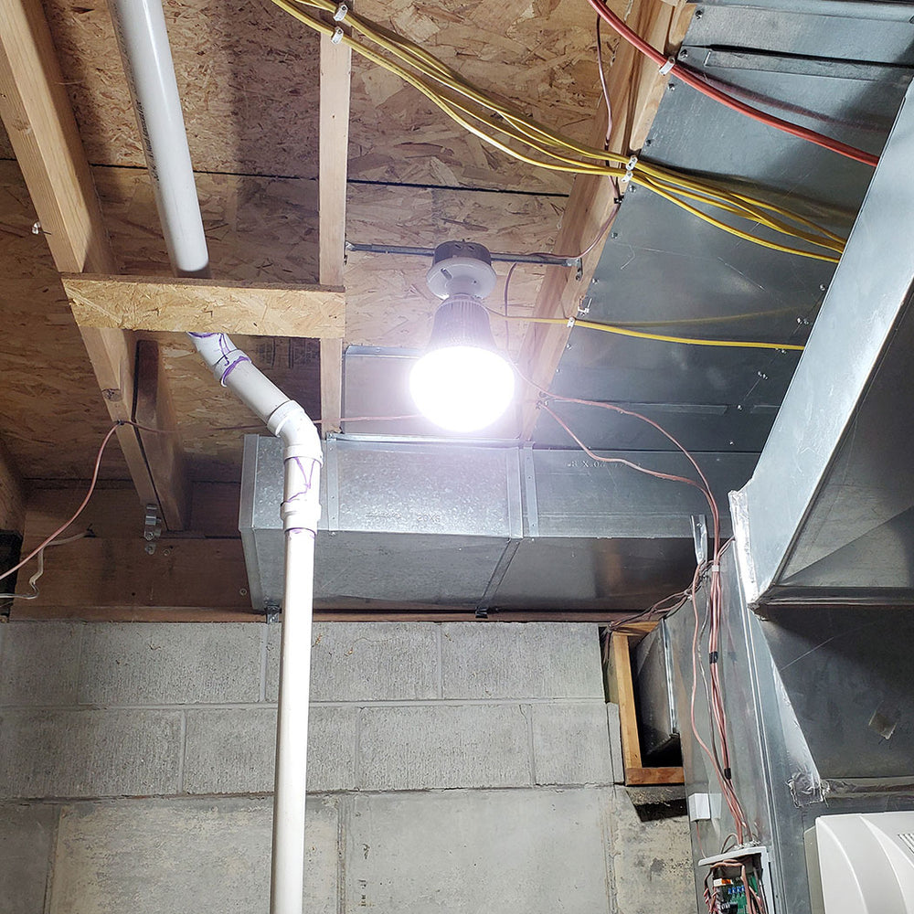 LED A-line Bulb 50W 5000 Lumen E26 5000K CCT